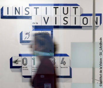 13 avancées majeures à l'Institut de la Vision | Le Guide De La Vue