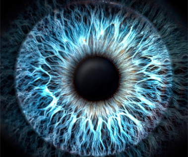 Le Guide de la Vue | Information santé sur la vision et les yeux