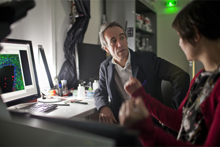 Pour soutenir la recherche sur les maladies de la vision, focus sur l ...