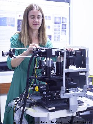 Dr Kate Grieve, Optoretina et l'imagerie rétinienne haute résolution ...