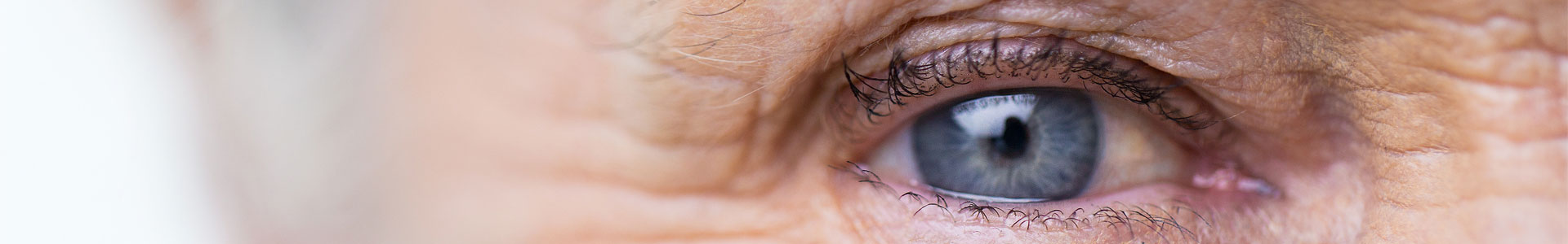 La vision - Fonctionnement du phénomène de la vision