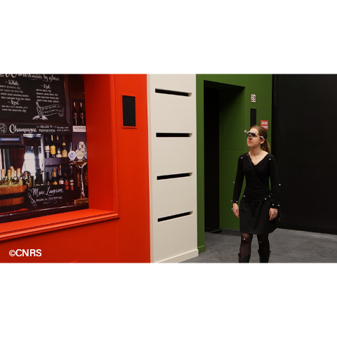 Pour soutenir la recherche sur les maladies de la vision, focus sur l ...